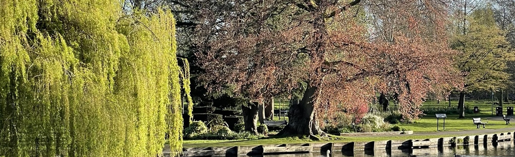 Wandle Trail: 105 Reviews, Map - London, England | AllTrails