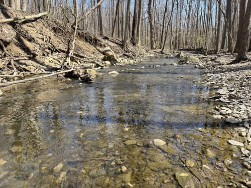 2023 Best trails in Myeerah Nature Preserve | AllTrails