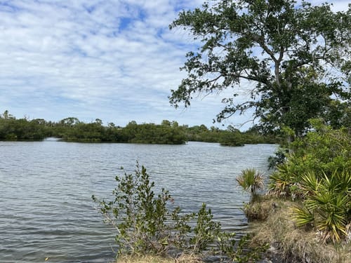 Best Hikes and Trails in Key Vista Nature Park | AllTrails