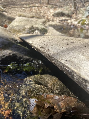 Best Hikes and Trails in Blackledge Falls Town Park | AllTrails