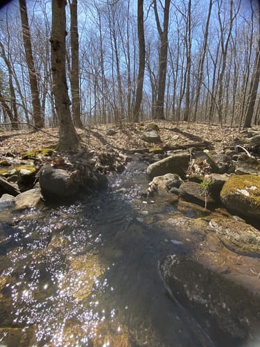 Best Hikes and Trails in Blackledge Falls Town Park | AllTrails