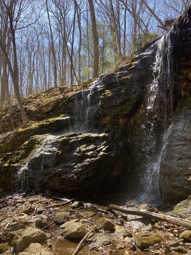 Best Hikes and Trails in Blackledge Falls Town Park | AllTrails