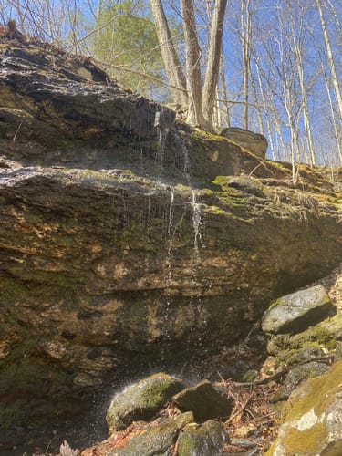 Best Hikes and Trails in Blackledge Falls Town Park | AllTrails