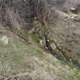 Patterson Mountain Trail, Washington - 375 Reviews, Map | AllTrails