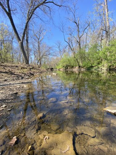 Best Hikes and Trails in Whitecliff Park | AllTrails