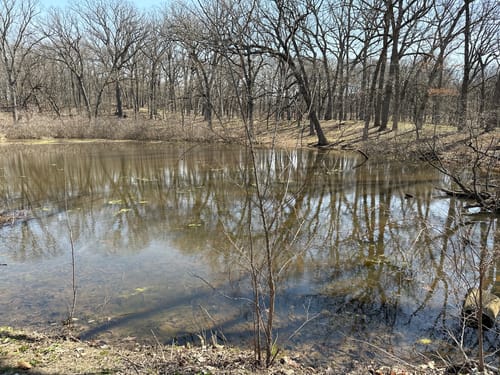 Best Hikes and Trails in Palos Forest Preserves | AllTrails
