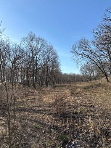 Best Hikes and Trails in Palos Forest Preserves | AllTrails