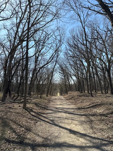 Best Hikes and Trails in Palos Forest Preserves | AllTrails