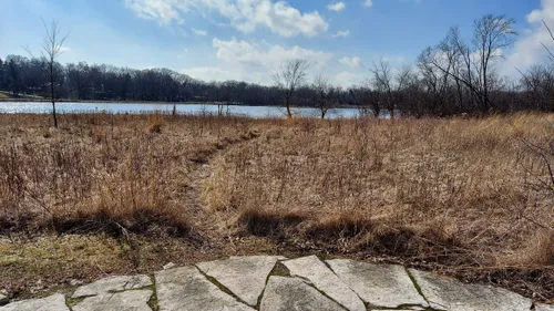 Best Hikes and Trails in Timber Ridge Forest Preserve | AllTrails