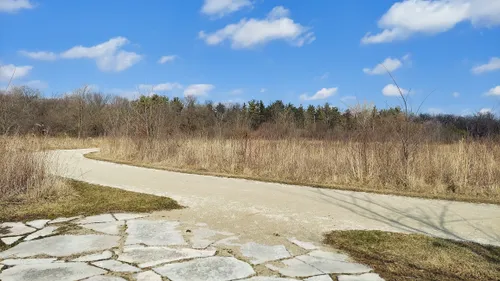 Best Hikes and Trails in Timber Ridge Forest Preserve | AllTrails