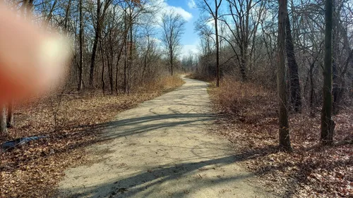 Best Hikes and Trails in Timber Ridge Forest Preserve | AllTrails