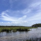 Boardman Pond Observation Platform Trail, Florida - 74 Reviews, Map ...