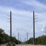 Boardman Pond Observation Platform Trail, Florida - 74 Reviews, Map ...