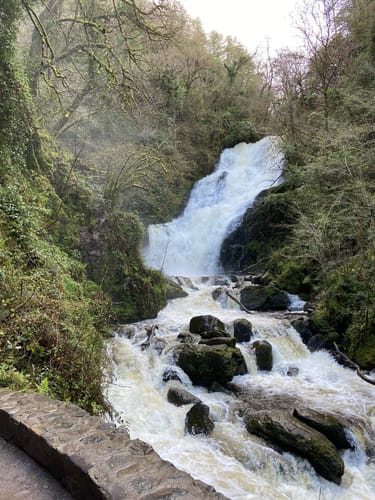 Best Hikes and Trails in Mangerton | AllTrails