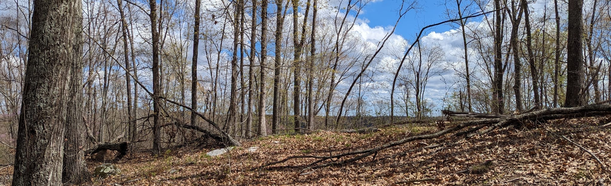 Brushy Creek Trail Loop, Missouri - 37 Reviews, Map | AllTrails