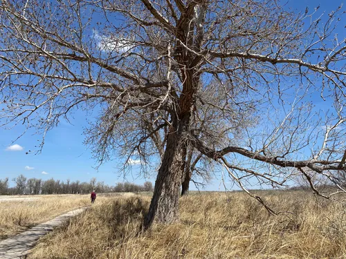 Best Hikes and Trails in Quivira National Wildlife Refuge | AllTrails