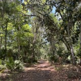 Boardman Pond Observation Platform Trail, Florida - 74 Reviews, Map ...