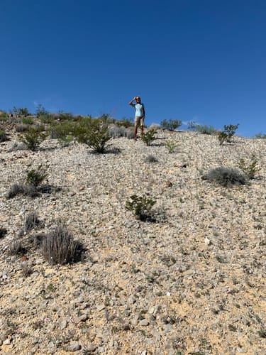 2023 Best Mountain Biking Trails in Big Bend Ranch State Park | AllTrails