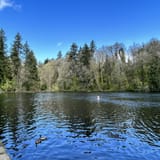 Lake Fenwick, Washington - 647 Reviews, Map | AllTrails