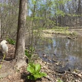 Muddy Run Lakeshore Trail, Pennsylvania - 308 Reviews, Map | AllTrails