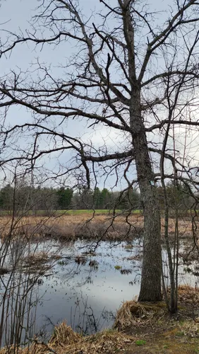 Best Hikes and Trails in Pikes Bridge Road Conservation Area | AllTrails