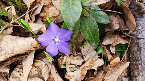 Best Hikes and Trails in Pikes Bridge Road Conservation Area | AllTrails