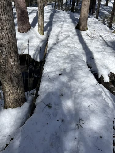 Best Hikes and Trails in Hammond Nature Preserve and Walker Forest ...