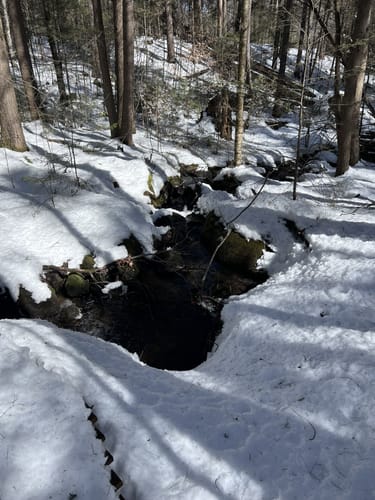 Best Hikes and Trails in Hammond Nature Preserve and Walker Forest ...
