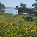 Obern Trail, California - 350 Reviews, Map | AllTrails