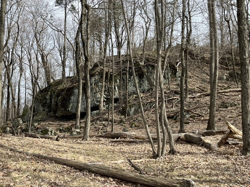 Best Hikes and Trails in The Nature Conservancy Higby Mountain | AllTrails