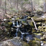 Chesterfield Gorge Trail, Massachusetts - 392 Reviews, Map | AllTrails