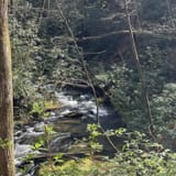 Cashes Valley Road, Georgia - 262 Reviews, Map | AllTrails