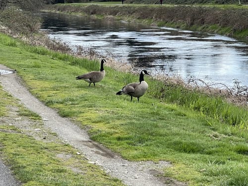 Best Hikes and Trails in Marymoor Park | AllTrails