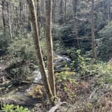 Cashes Valley Road, Georgia - 262 Reviews, Map | AllTrails