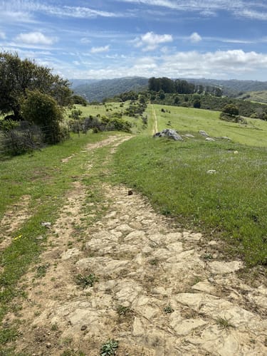 Best Hikes and Trails in Don Castro Regional Recreation Area | AllTrails