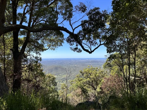 2023 Best Walking Trails in Lower Beechmont Conservation Area | AllTrails