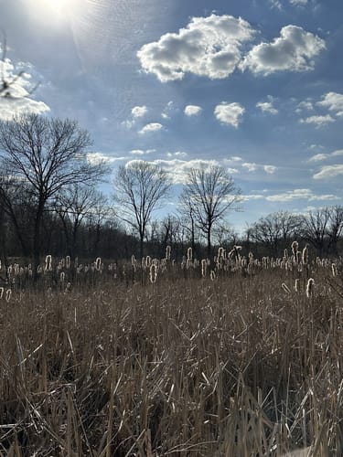 Best Hikes and Trails in Palos Forest Preserves | AllTrails