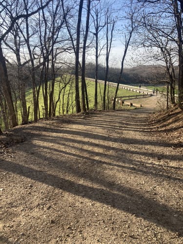 Best Hikes and Trails in Farmdale Recreation Area | AllTrails