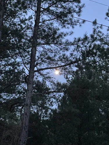 Best Hikes and Trails in Lake McIntosh Park | AllTrails