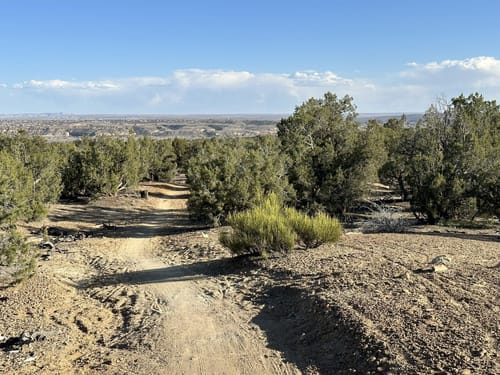 Best Hikes and Trails in Glade Run Recreation Area | AllTrails