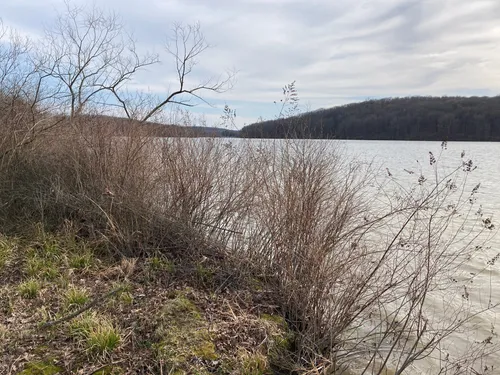 Best Forest Trails in Fallentimber | AllTrails