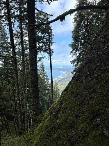 2023 Best Trail Running Trails in Humbug Mountain State Park | AllTrails