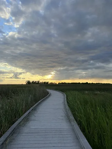 Best Hikes and Trails in Sabine National Wildlife Refuge | AllTrails
