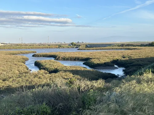 Best Hikes and Trails in Salinas River State Beach | AllTrails