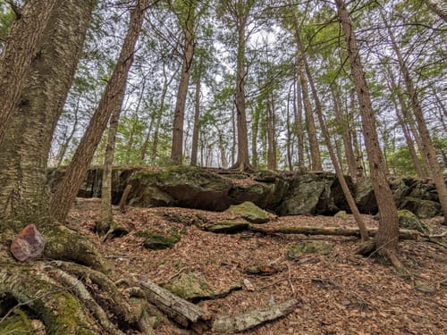 2023 Best Long Trails in Mount Washington State Forest | AllTrails