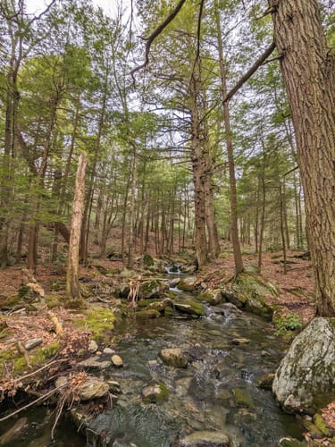 2023 Best Long Trails in Mount Washington State Forest | AllTrails