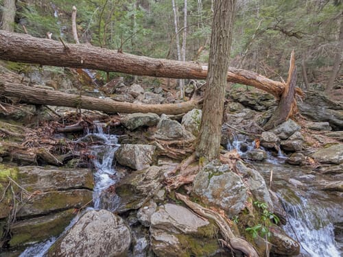 2023 Best Long Trails in Mount Washington State Forest | AllTrails