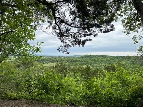 Best Moderate Trails in Cedar Ridge Preserve | AllTrails