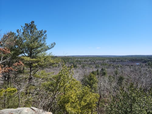 2023 Best Bird Watching Trails in Pachaug State Forest | AllTrails