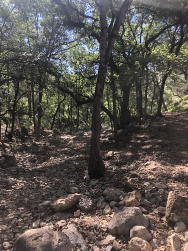 2023 Best Walking Trails in Landa Park | AllTrails